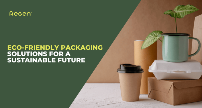 Environmental Impact of Packaging: Challenges and Eco-Friendly Solutions