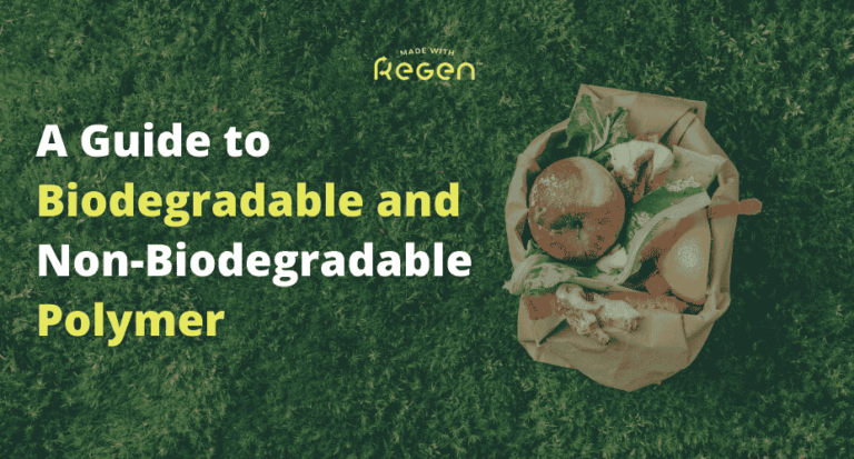 Fastest Biodegradable Material that Can Be a Game-Changer for Reducing ...